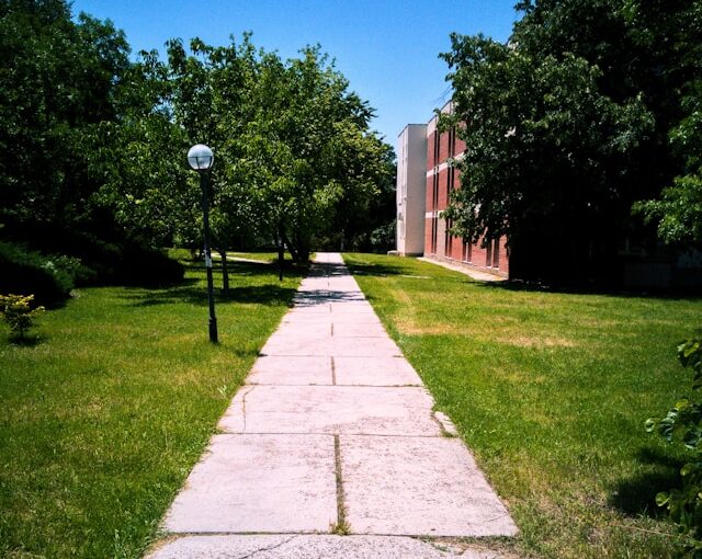 Understanding and Preventing Slip and Fall Accidents in Ontario - EDGE ...